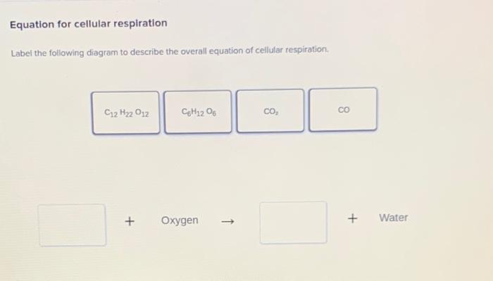 Solved Equation for cellular respiration Label the following | Chegg.com