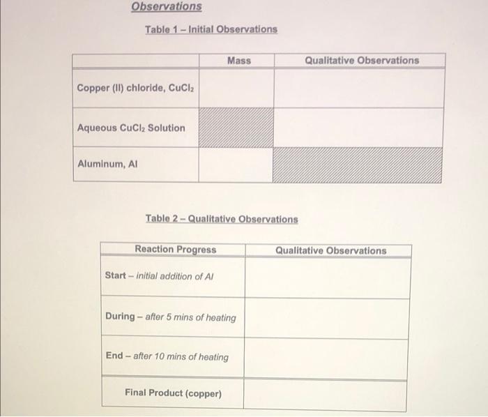 Solved Observations Table 1 - Initial Observations Mass | Chegg.com