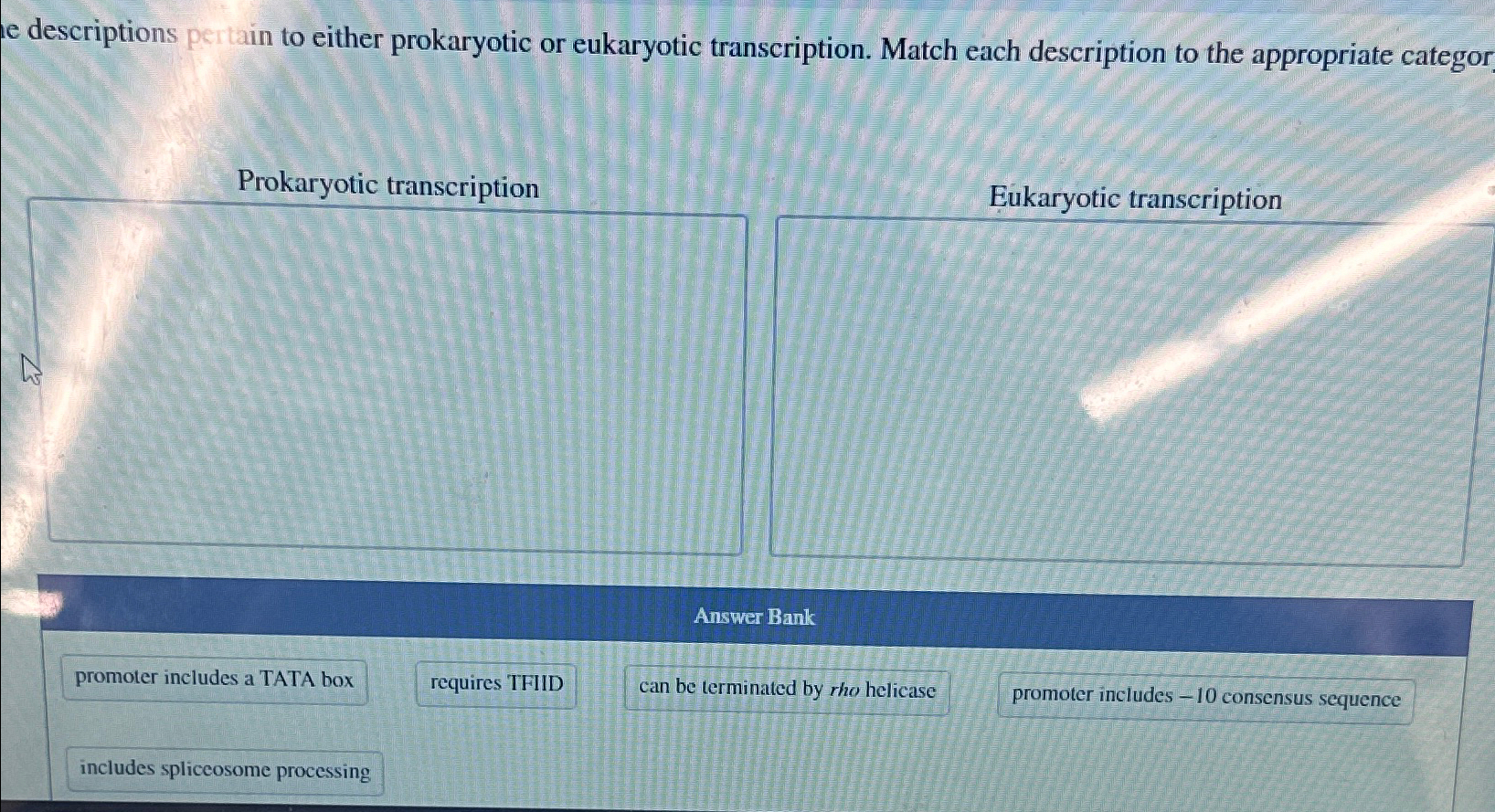 Solved descriptions pertain to either prokaryotic or | Chegg.com