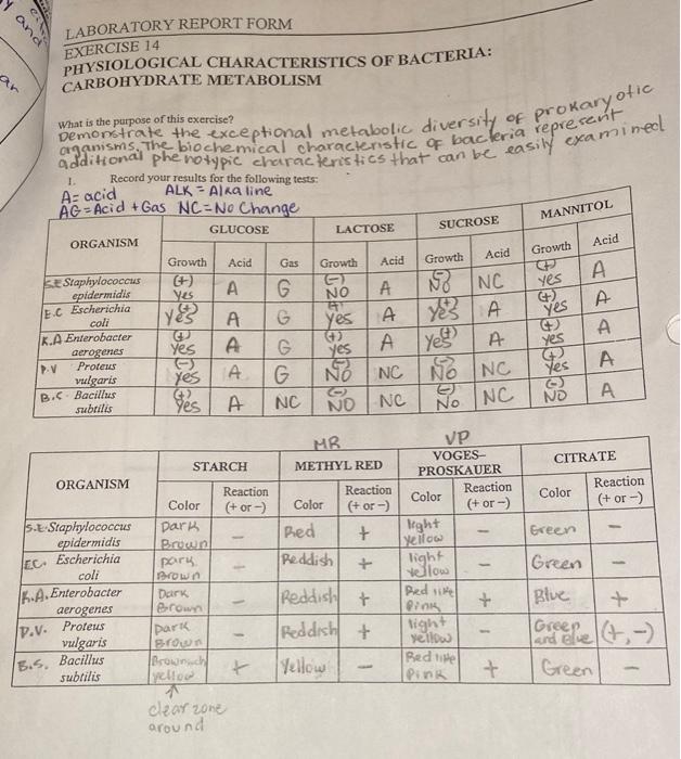 Solved EXERCISE 14 PHYSIOLOGICAL CHARACTERISTICS OF | Chegg.com