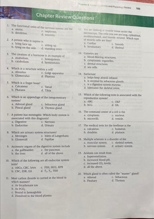 Solved Chapter Review Questions 2. A person who is supine is | Chegg.com