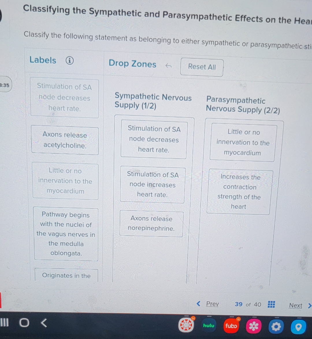 Solved Classifying the Sympathetic and Parasympathetic | Chegg.com
