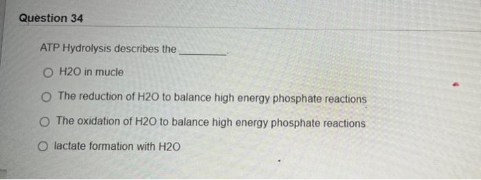 Solved Question 34 ATP Hydrolysis describes the O H20 in | Chegg.com