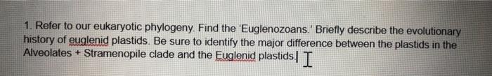 Solved EXCAVATA SAR CLADE ARCHAEPLASTIDA UNIKONTA Euglenozoa | Chegg.com