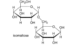 Isomaltose