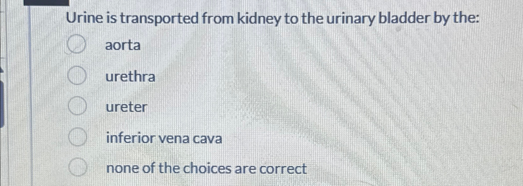 Solved Urine is transported from kidney to the urinary | Chegg.com