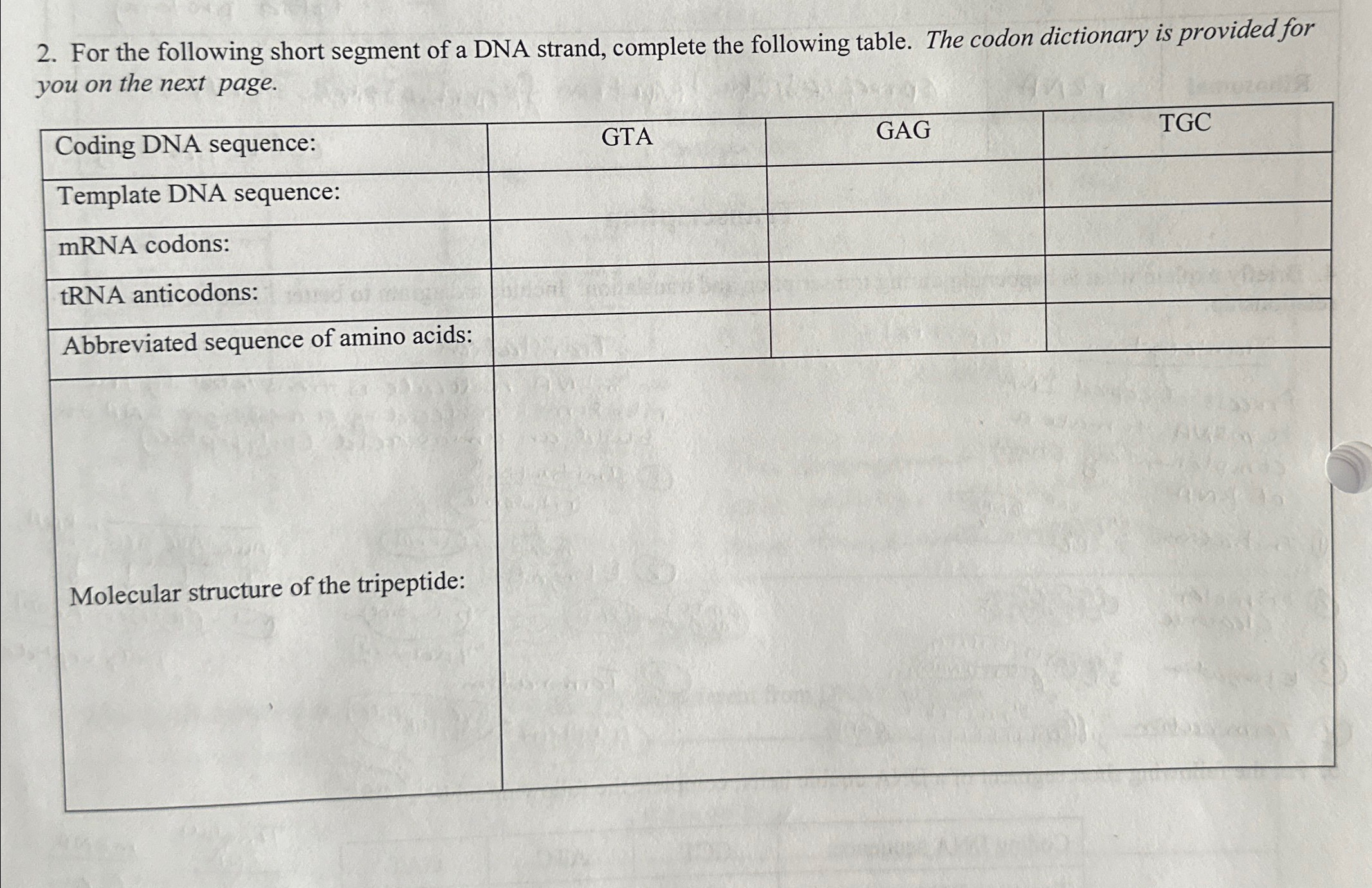 For the following short segment of a DNA strand, | Chegg.com