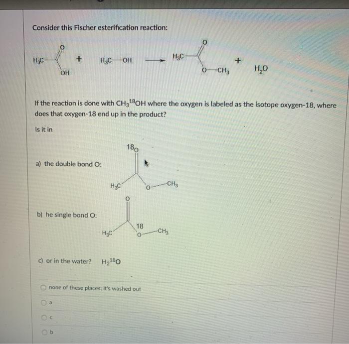 Solved Consider this Fischer esterification reaction: + H₃C | Chegg.com