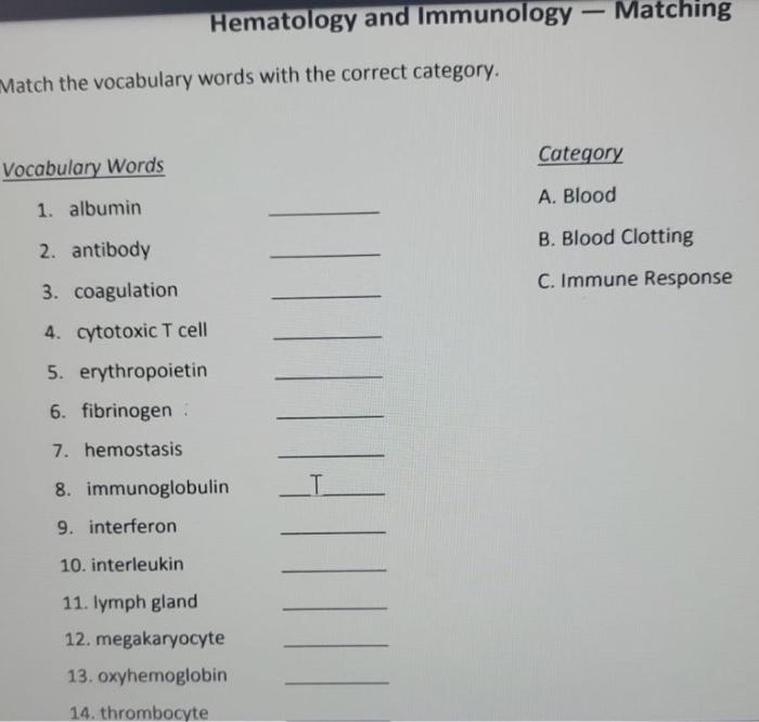 Solved Hematology and Immunology Matching Match the | Chegg.com