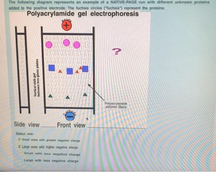 Solved The following diagram represents an example of a | Chegg.com
