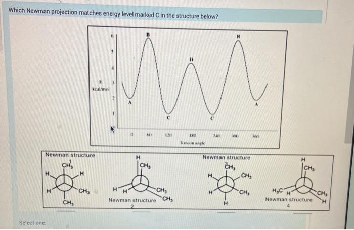 Solved Which Newman projection matches energy level marked | Chegg.com