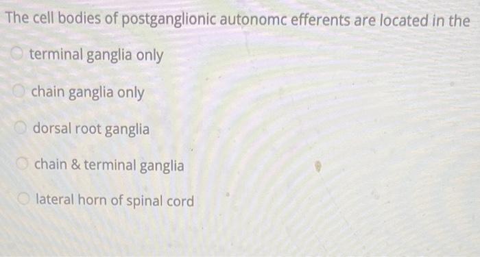 Solved The cell bodies of postganglionic autonomc efferents | Chegg.com