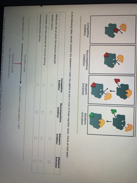Solved 6. Regulating enzyme activity The following diagram | Chegg.com