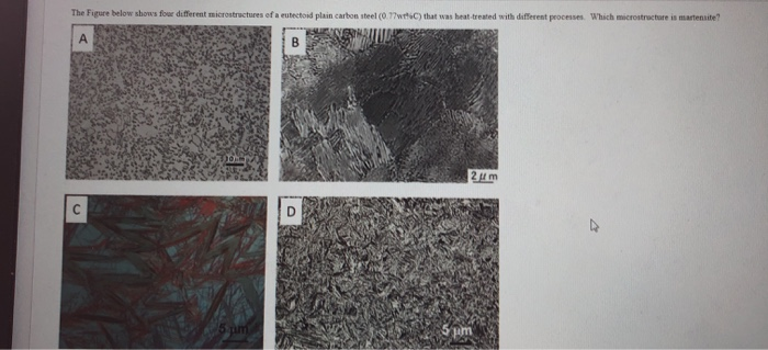 Solved The Figure below shows four different microstructures | Chegg.com