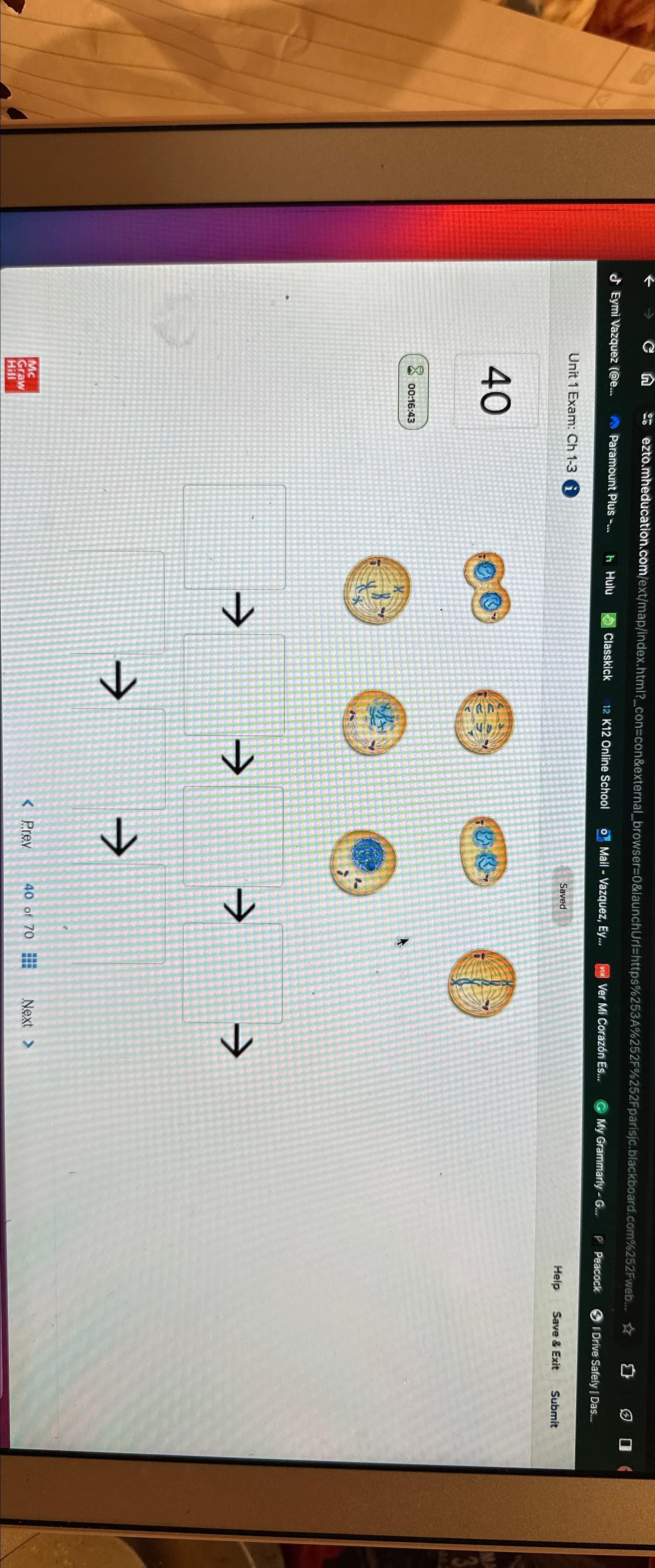 Solved Unit 1 ﻿Exam: | Chegg.com