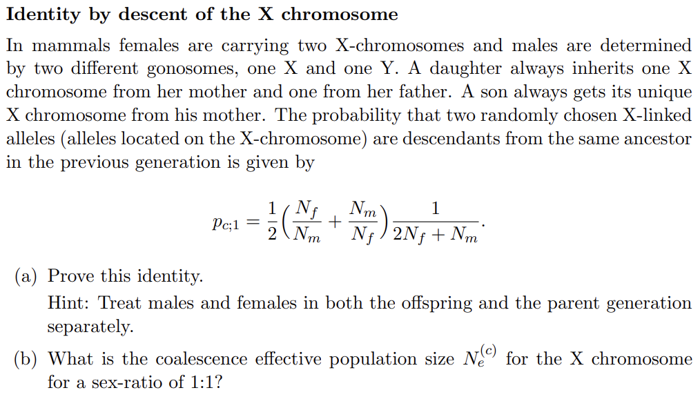 Solved Identity by descent of the x ﻿chromosomeIn mammals | Chegg.com