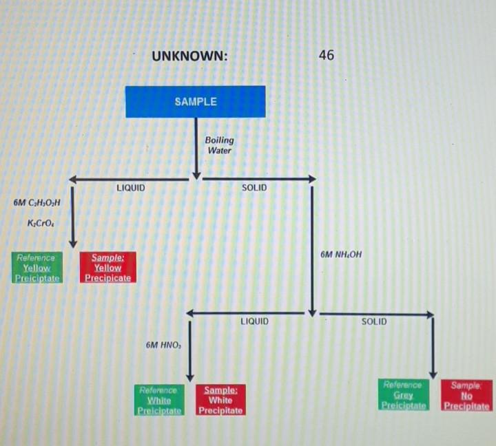 Solved Data Report Sheet: Quantitative Analysis of Group I | Chegg.com