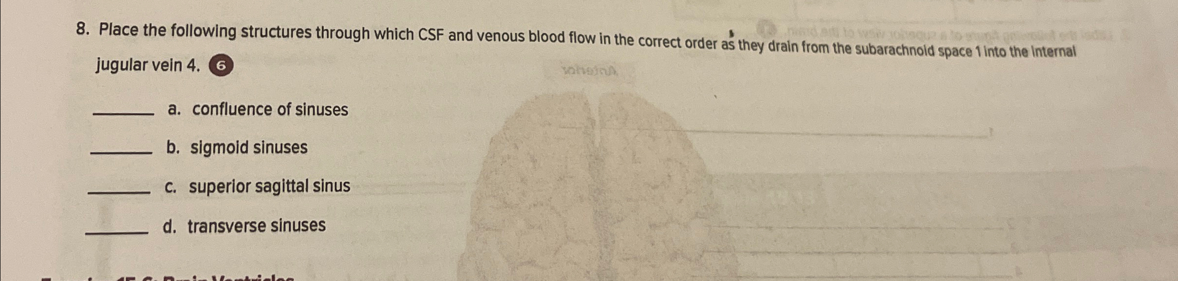 Place the following structures through which CSF and | Chegg.com