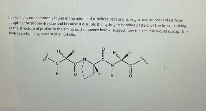 Solved 6) Proline is not commonly found in the middle of | Chegg.com