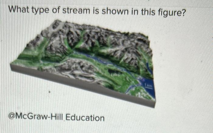 Solved What type of stream is shown in this figure?A. | Chegg.com
