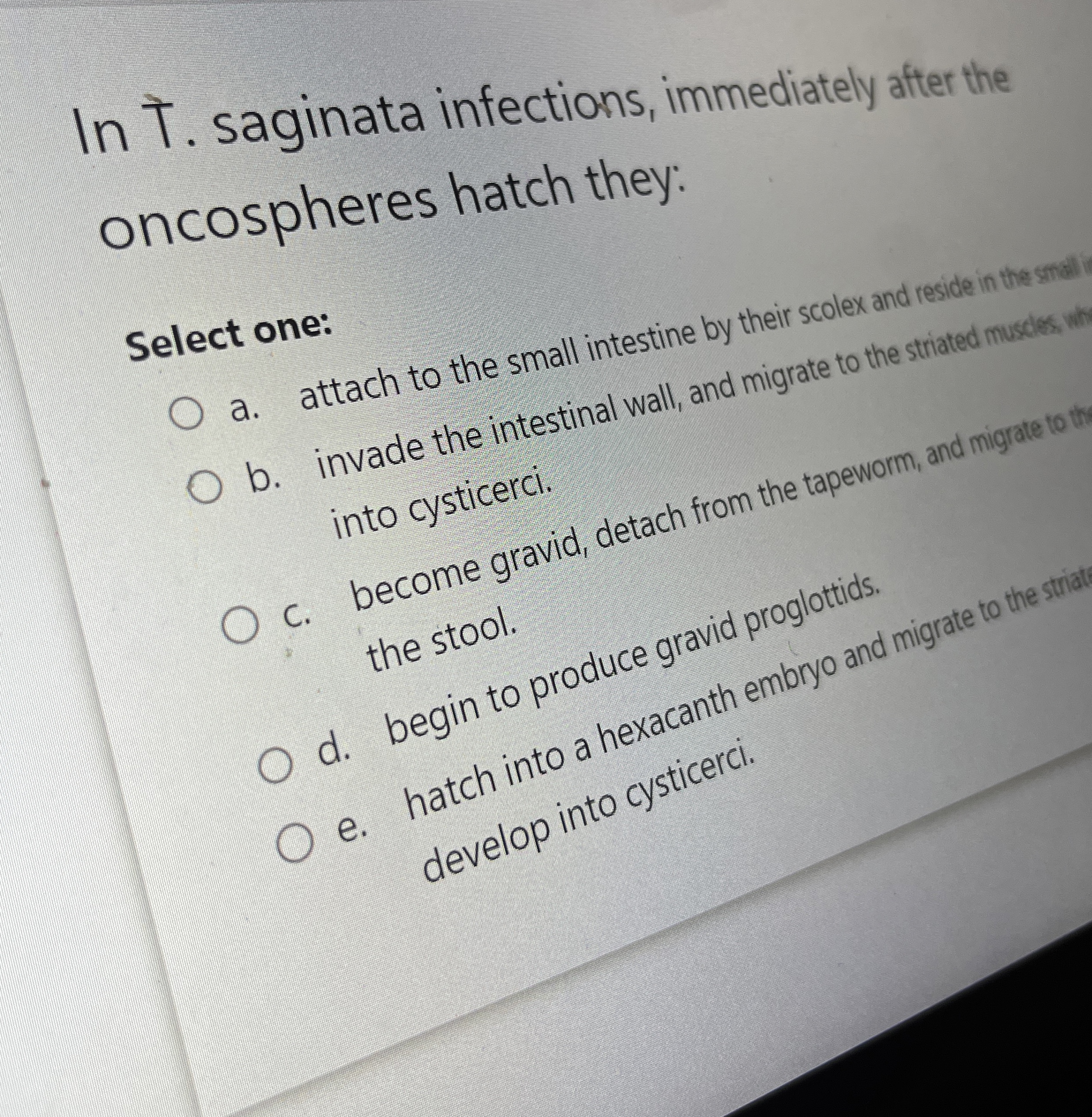 Solved In T. ﻿saginata infections, immediately atter the | Chegg.com