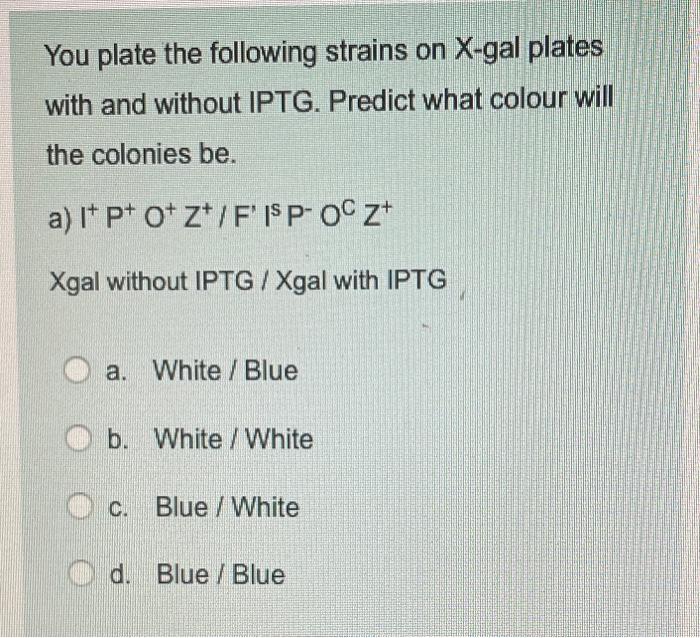Solved You plate the following strains on X-gal plates with | Chegg.com