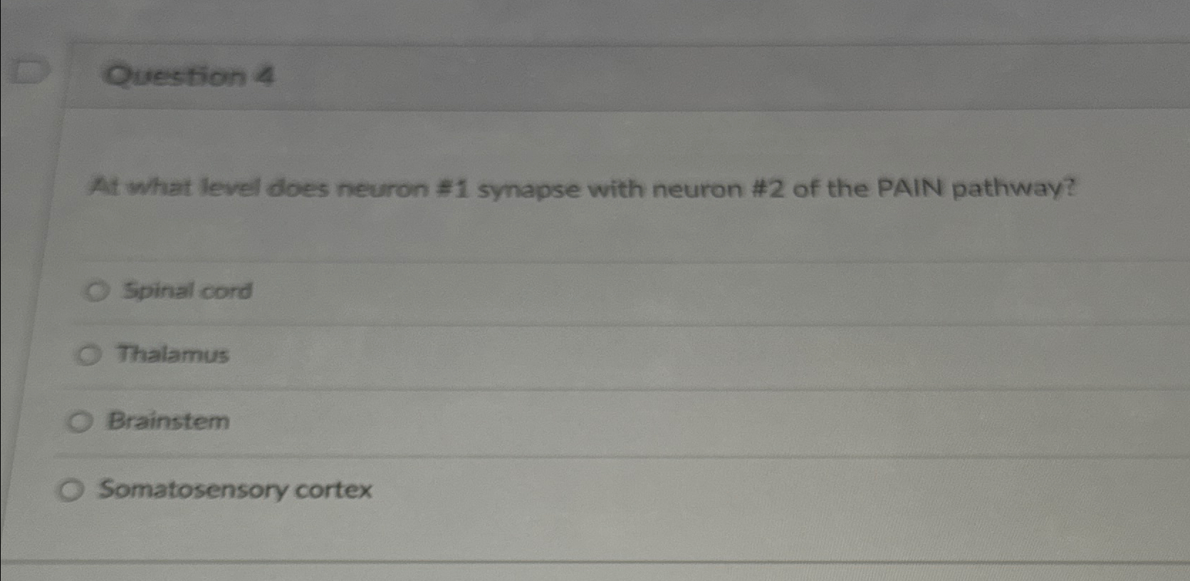 Solved Question 4At what level does neuron $1 ﻿symapse with | Chegg.com