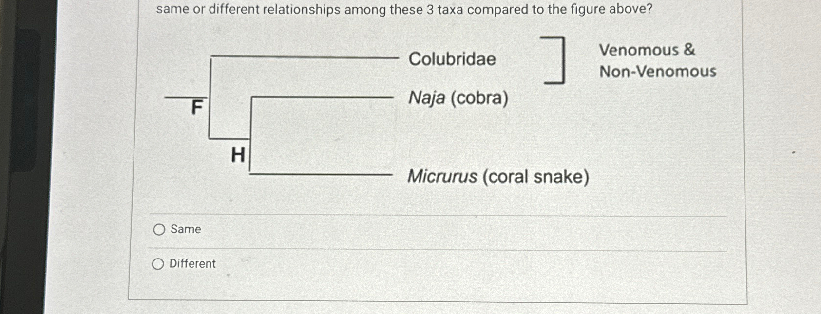 Solved same or different relationships among these 3 ﻿taxa | Chegg.com