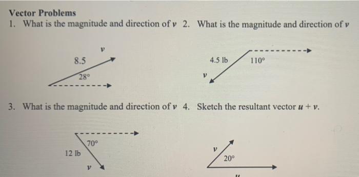 Solved Vector Problems 1. What is the magnitude and | Chegg.com