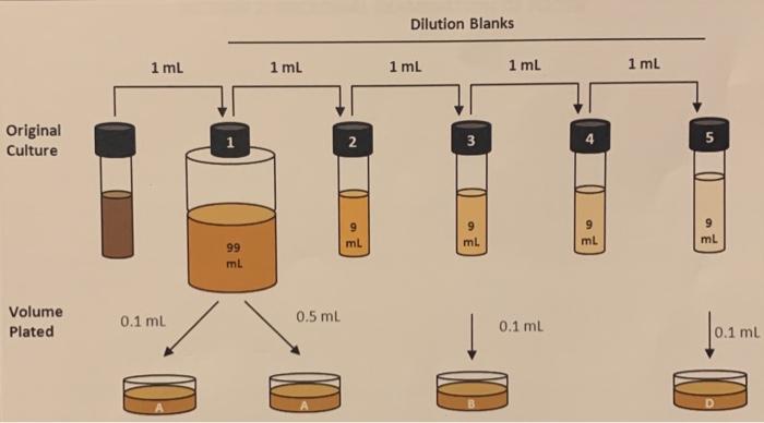 Solved using the dilution scheme shown below. Apply the | Chegg.com