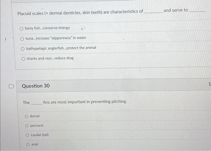 Solved Placoid scales (= dermal denticles, skin teeth) are | Chegg.com