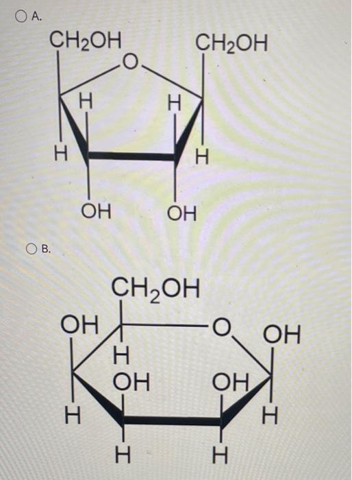 Solved D-Allose (shown below in an open Fischer projection) | Chegg.com