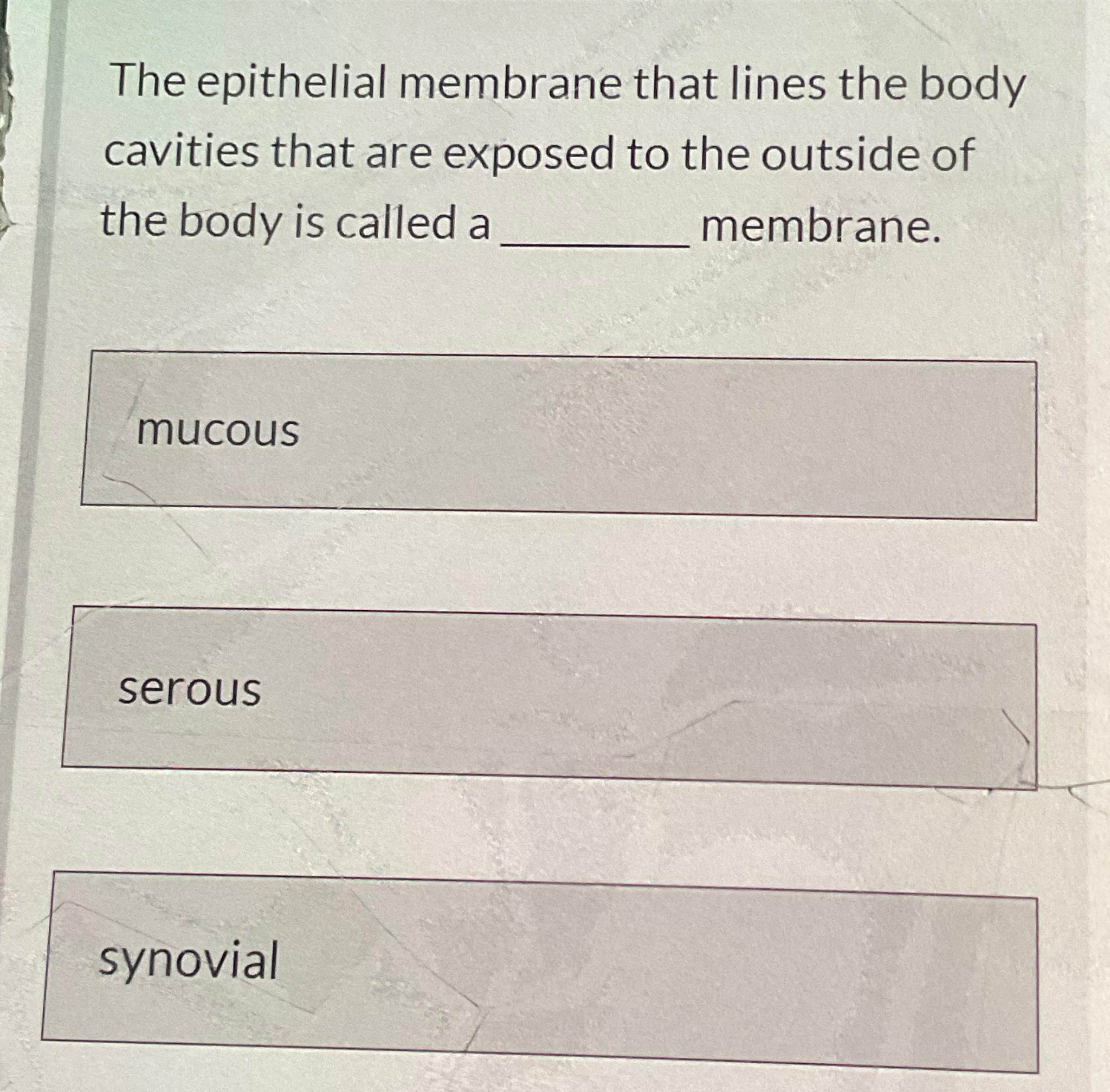 Solved The epithelial membrane that lines the body cavities | Chegg.com
