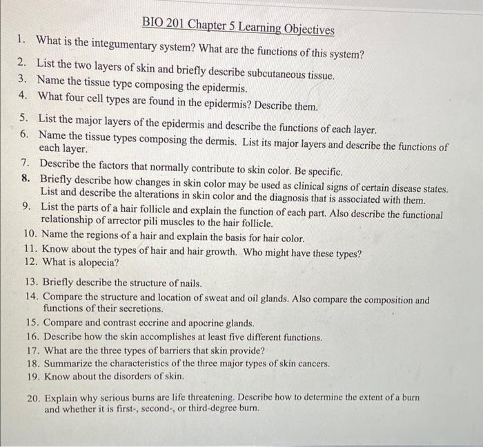 Solved 1. What is the integumentary system? What are the | Chegg.com