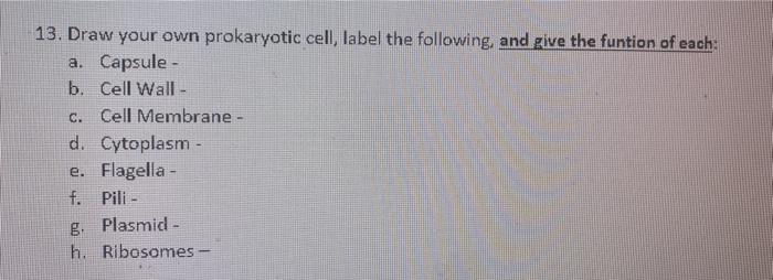 Solved 13. Draw your own prokaryotic cell, label the | Chegg.com
