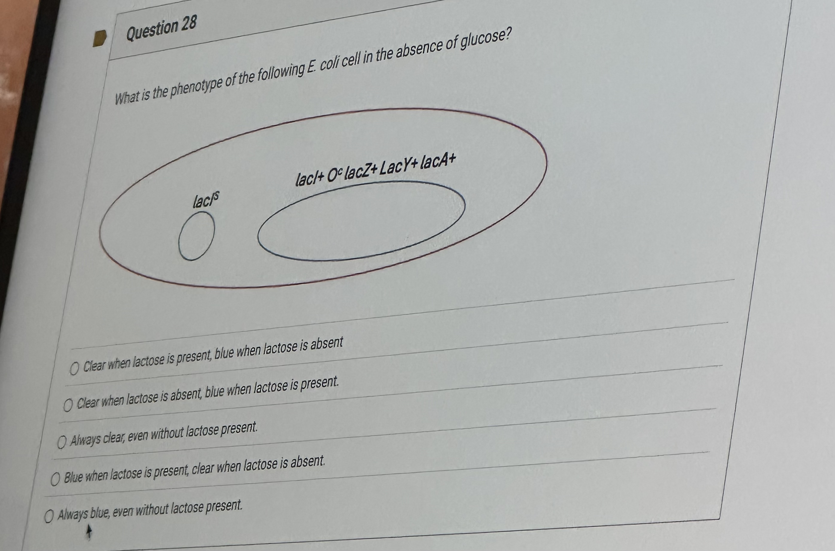 Solved Question 28Clear when lactose is present, blue when | Chegg.com