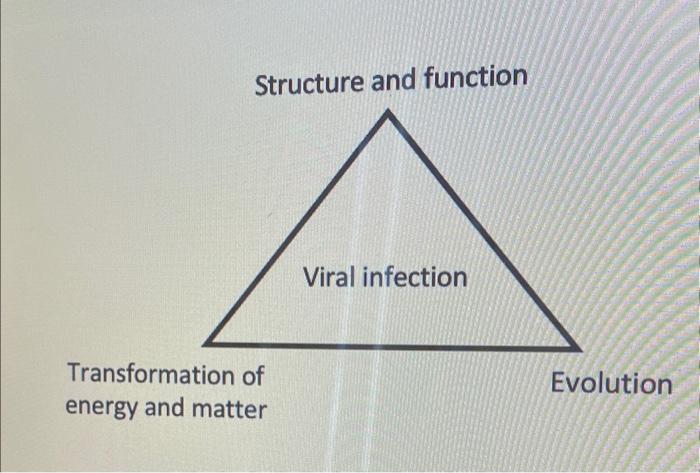 Solved Structure and function Transforn energy and | Chegg.com
