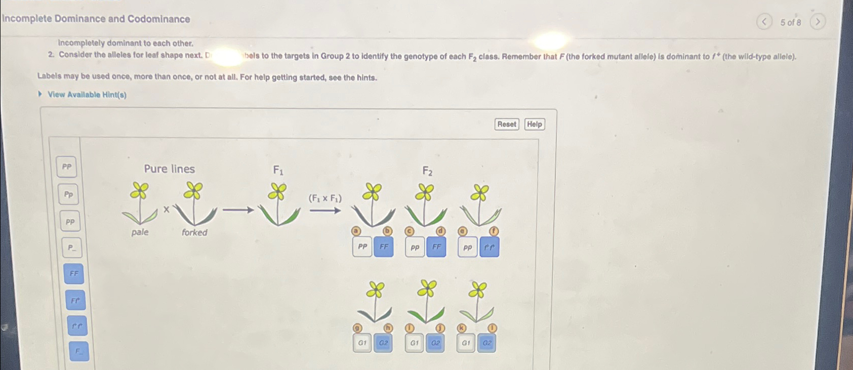 Solved Incomplete Dominance and Codominance5 ﻿of | Chegg.com