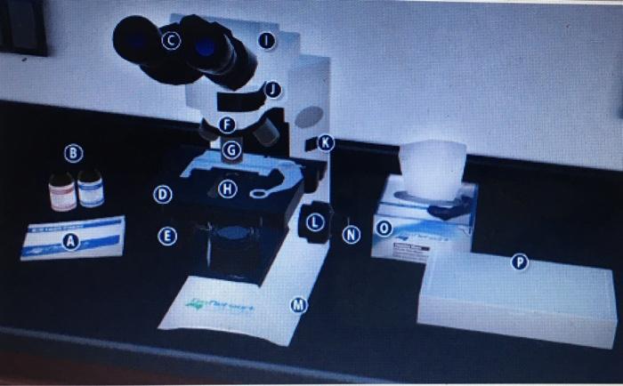 Solved Questions 1. What is the proper way to carry a | Chegg.com