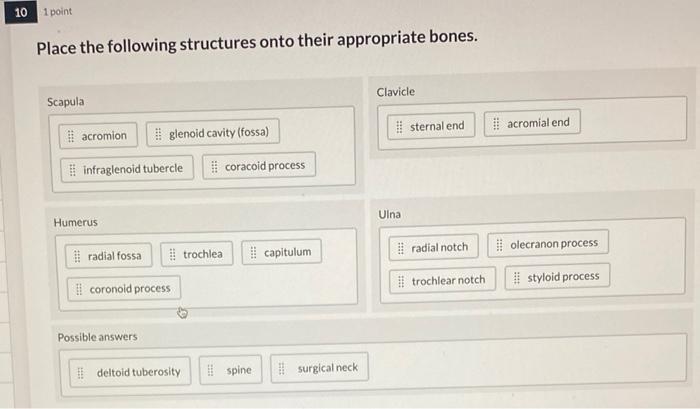 Solved Place the following structures onto their appropriate | Chegg.com