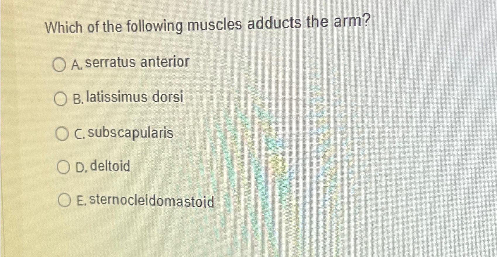 Solved Which of the following muscles adducts the arm?A. | Chegg.com