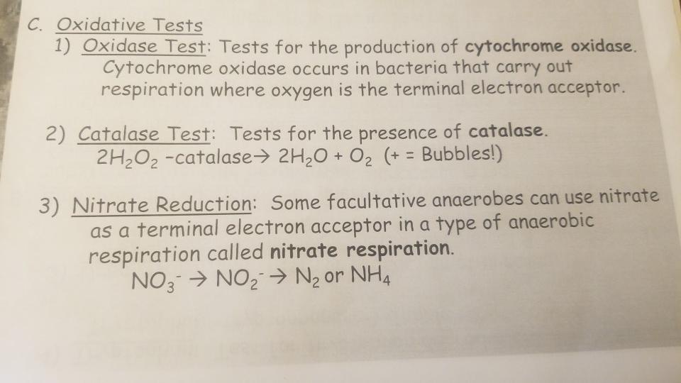 Solved C. Oxidative Tests 1) Oxidase Test: Tests for the | Chegg.com