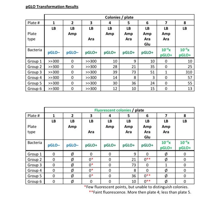Solved pGLO Transformation Results Plate # 1 2 3 LB LB LB | Chegg.com
