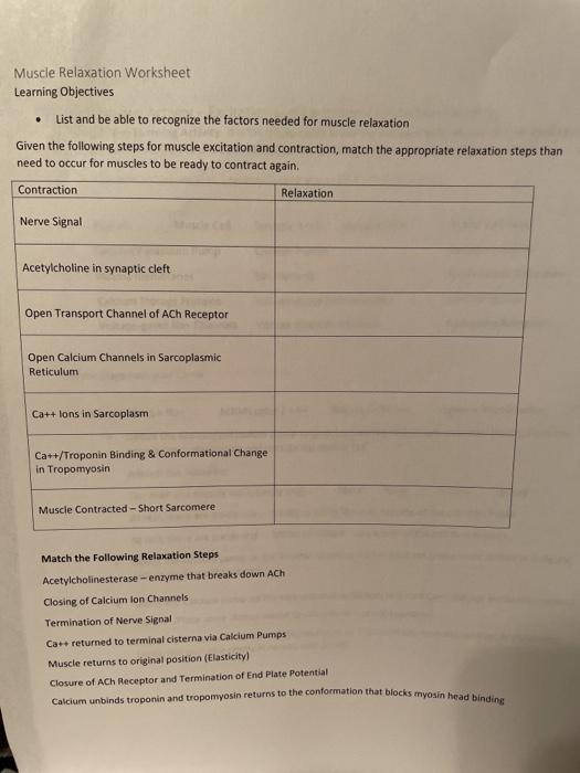 Solved Muscle Relaxation Worksheet Learning Objectives • | Chegg.com