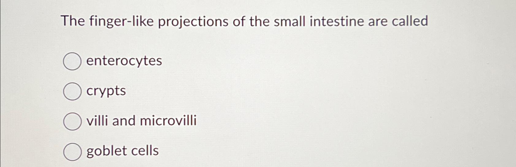 Solved The finger-like projections of the small intestine | Chegg.com