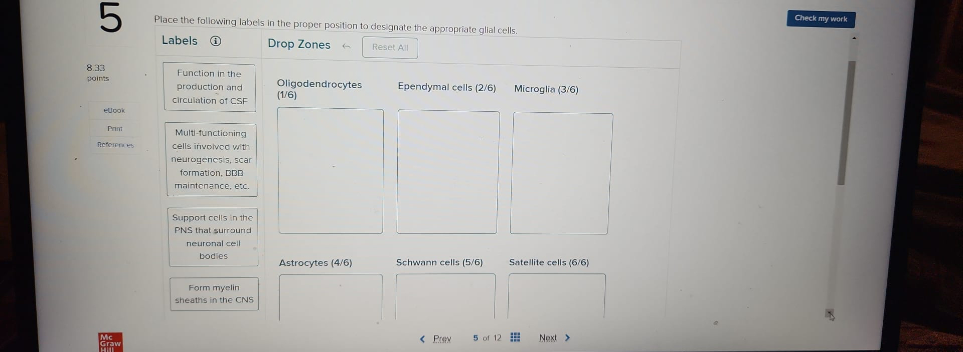 Solved Place the following labels in the proper position to | Chegg.com