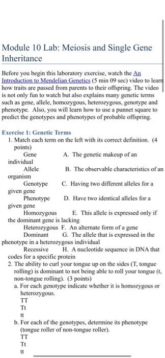 Solved Module 10 Lab: Meiosis and Single Gene Inheritance | Chegg.com