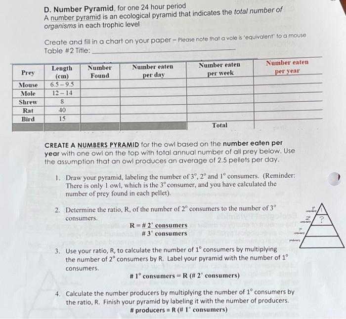 D. Number Pyramid, for one 24 hour period A number | Chegg.com