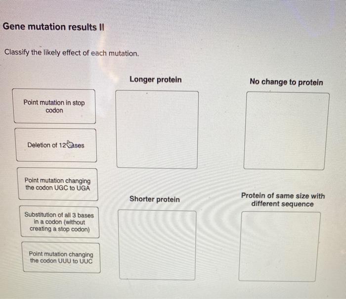 Solved Gene Mutation Results Ii Classify The Likely Effect
