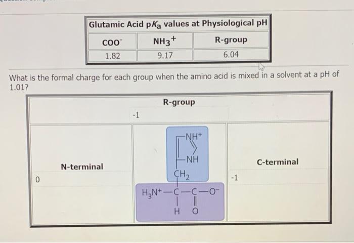 Solved Glutamic Acid pKa values at Physiological pH COO NH3 | Chegg.com